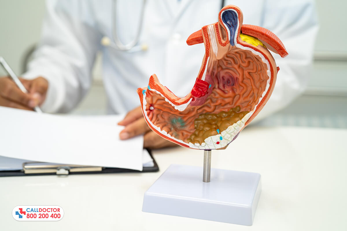 Boost Your Gut Strength with the 4 Essential Nutrients – Call Doctor