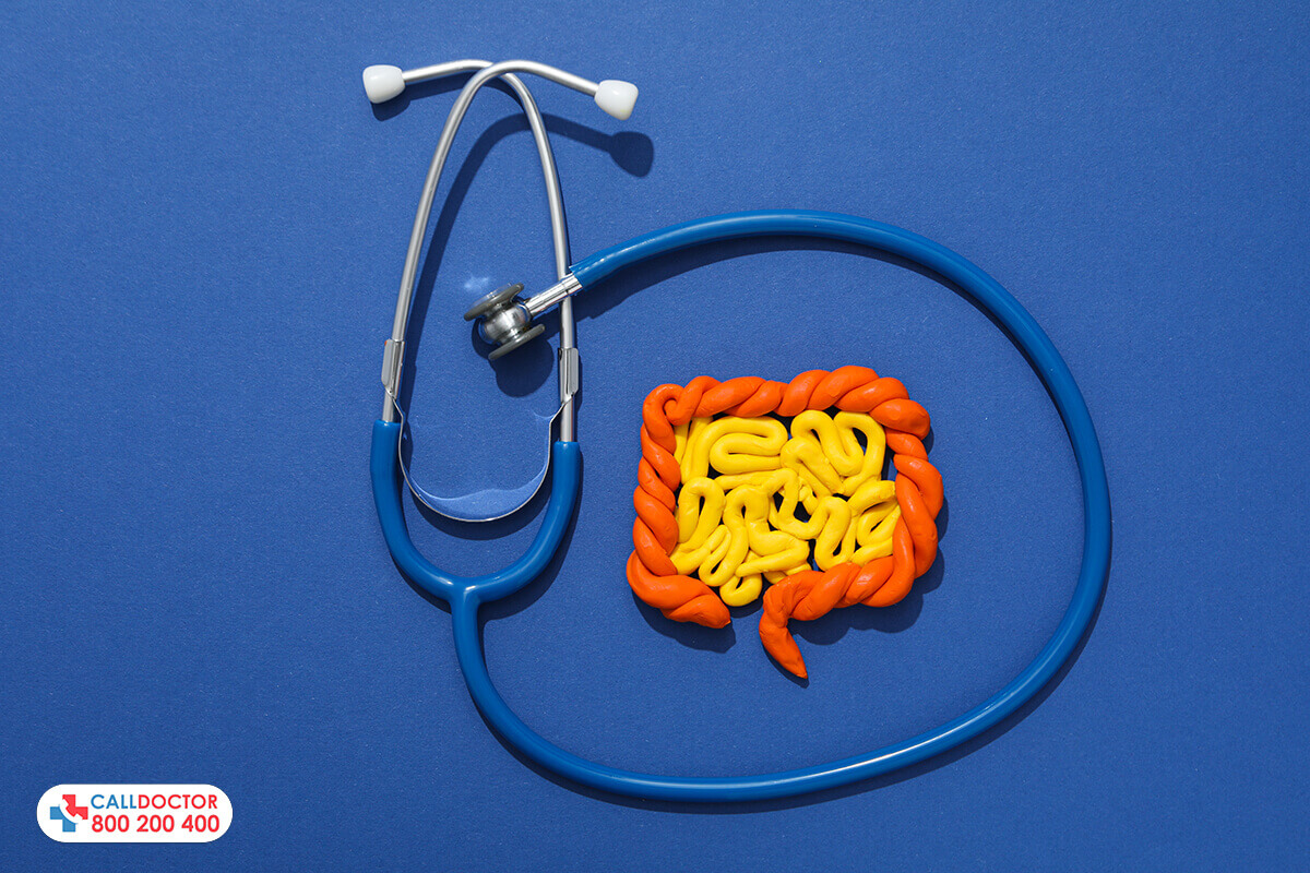 Boost Your Gut Strength with the 4 Essential Nutrients – Call Doctor